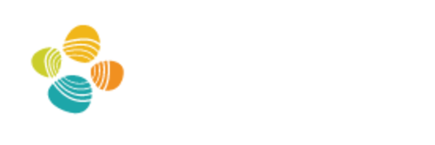 Jorge Gascon | KAUST Faculty in Focus