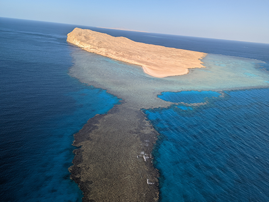 KAUST Coral Restoration Initiative at Shushah