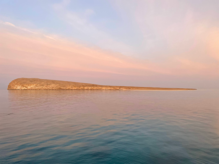 KAUST Coral Restoration Initiative at Shushah